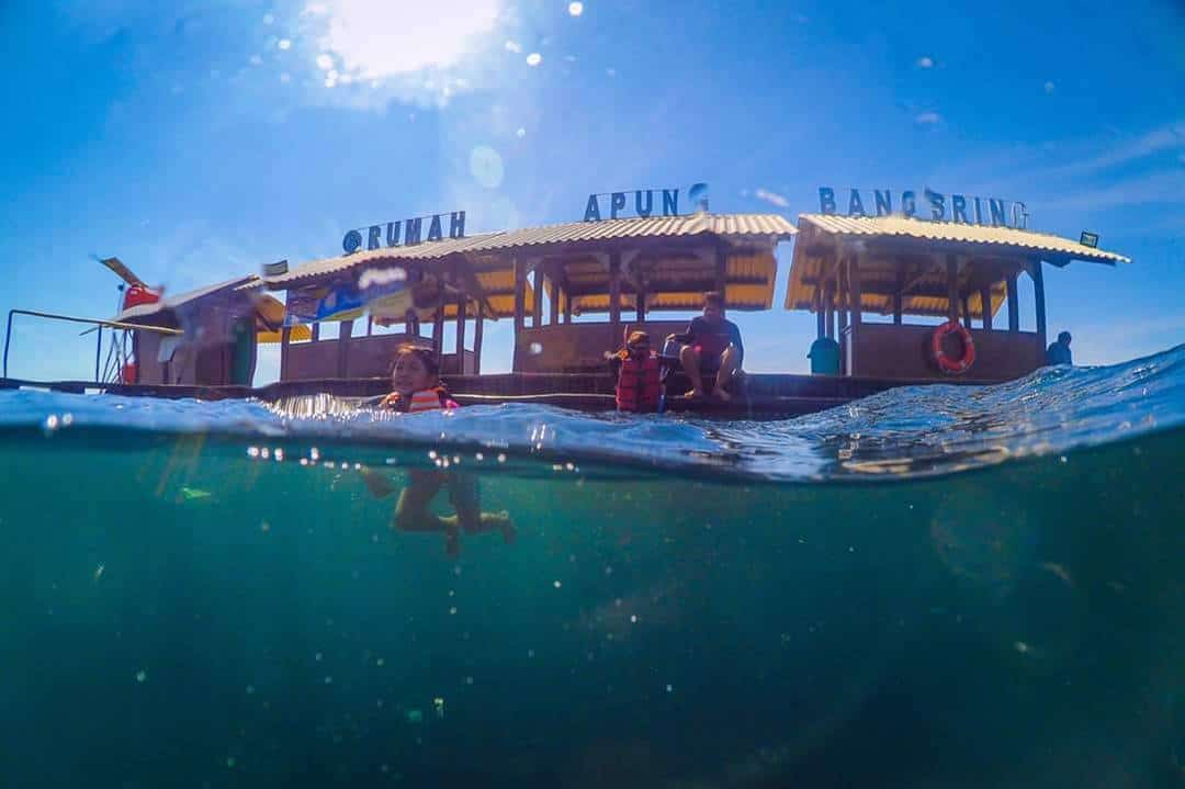 Rumah Apung Bangsring, Wisata Underwater dan Berenang Bersama Hiu