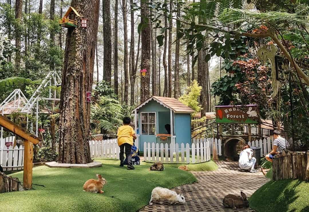 Orchid Forest Cikole | Labiru Tour