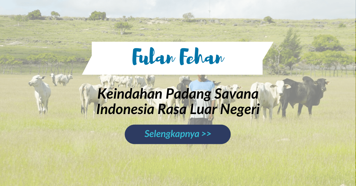 Wisata Ntt - Fulan Fehan -Padang Rumput Di Indonesia