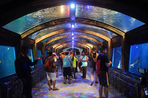 Ayo Kunjungi 5 Wisata Aquarium Raksasa Ini!