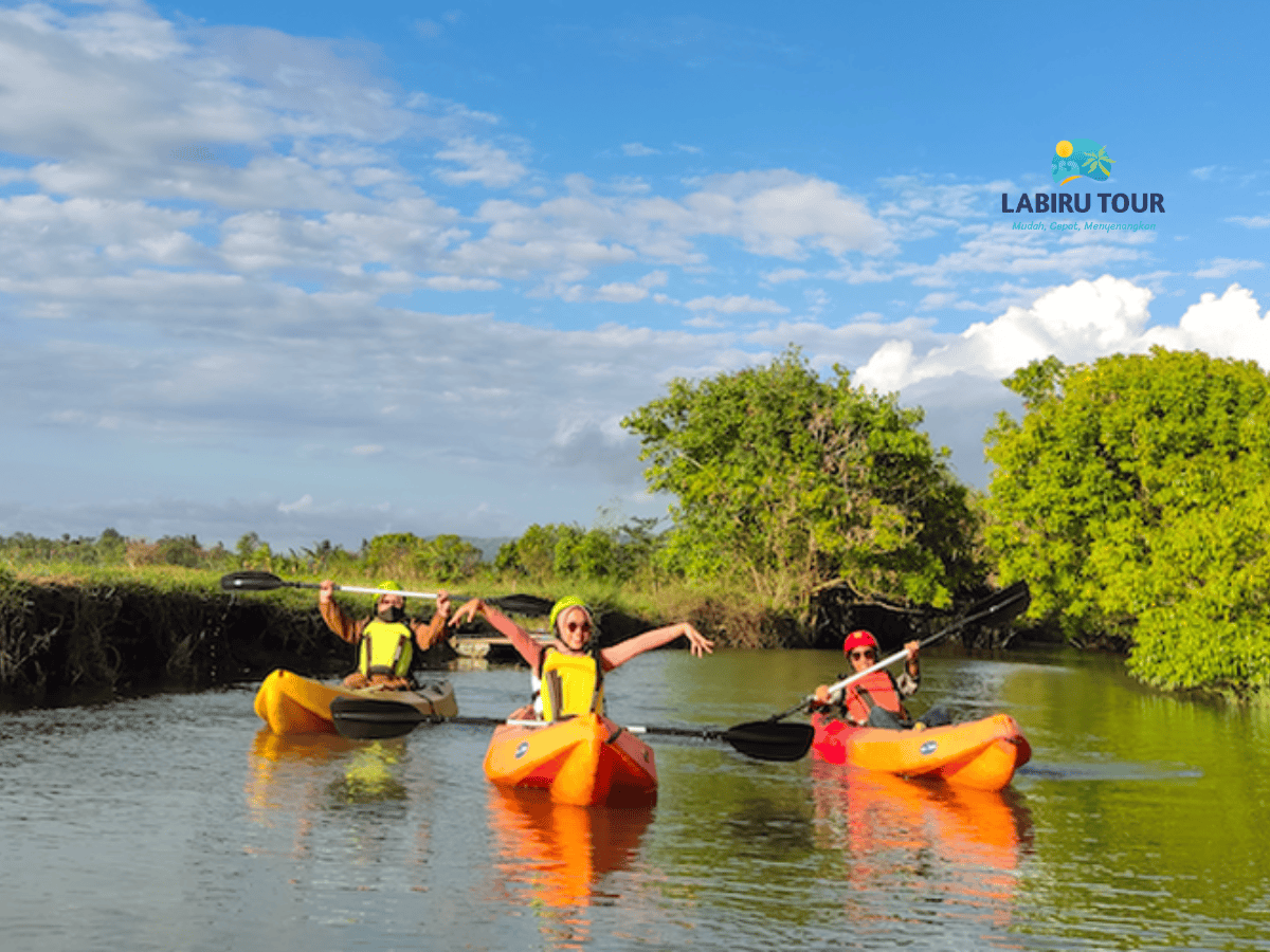 Mangrove Pantai Baros | Labiru Tour