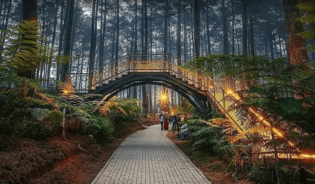 8 Rekomendasi Tempat Gathering Kantor yang Seru di Bandung!